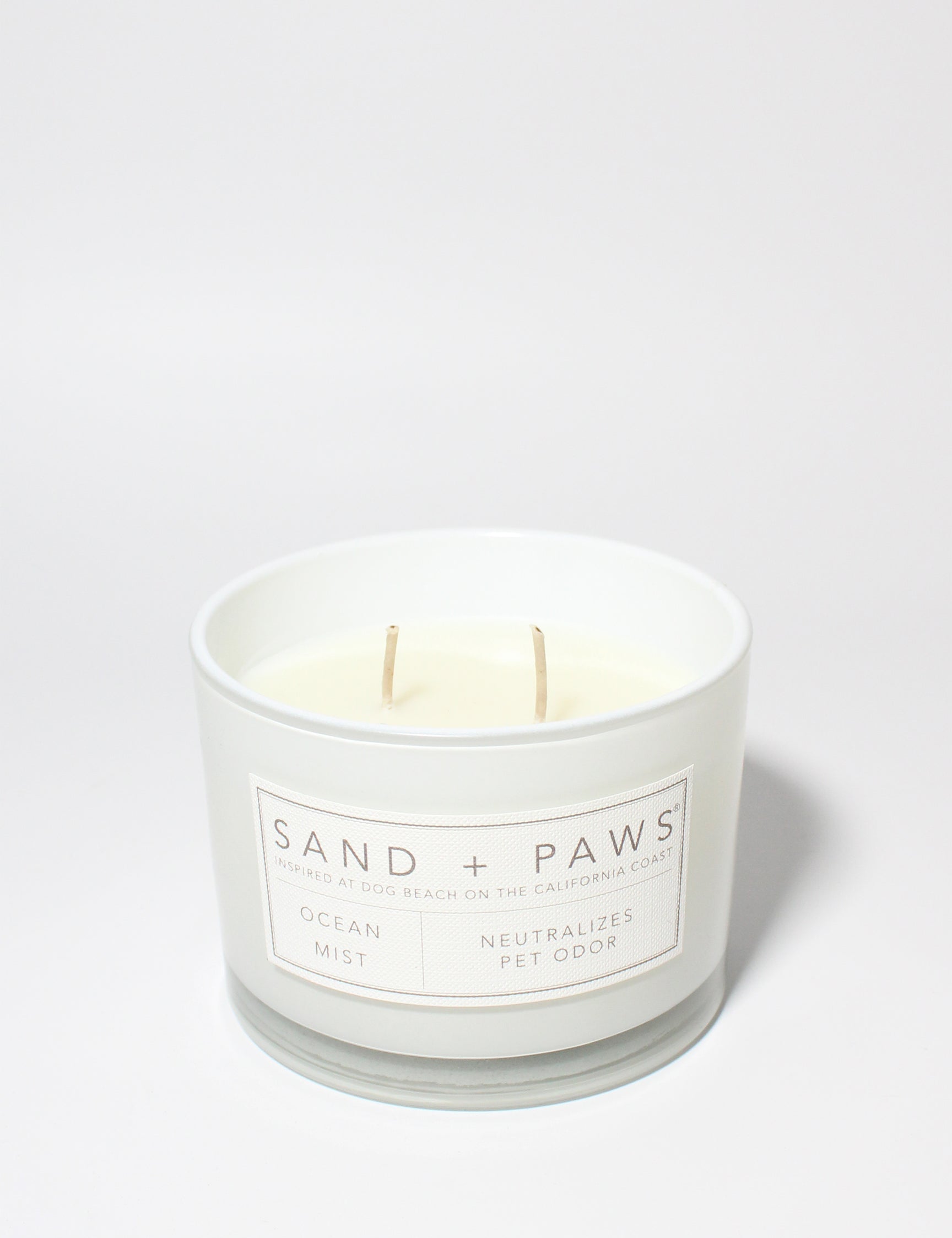 Sand + Paws – Sand + Fog