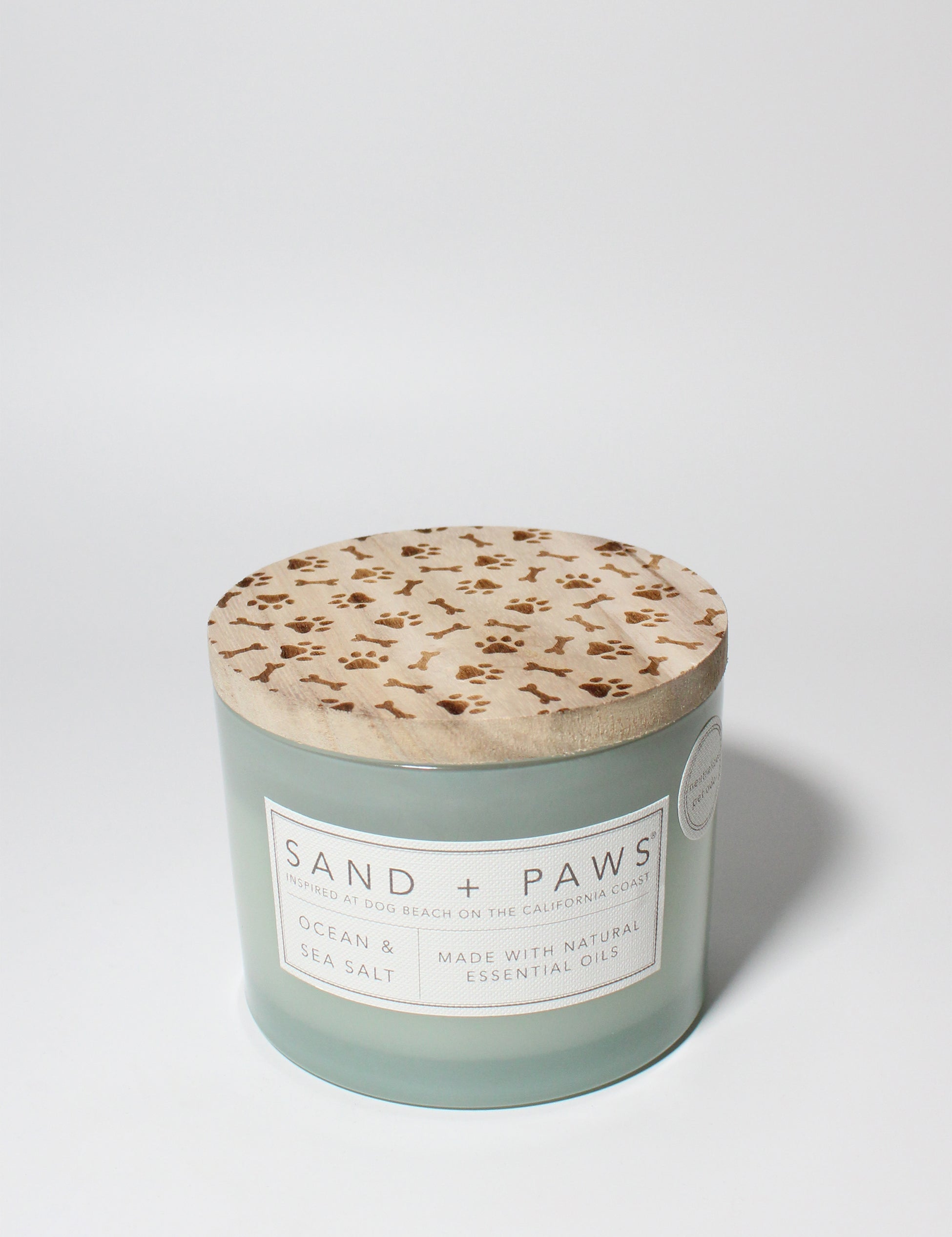 Sand + Paws – Sand + Fog