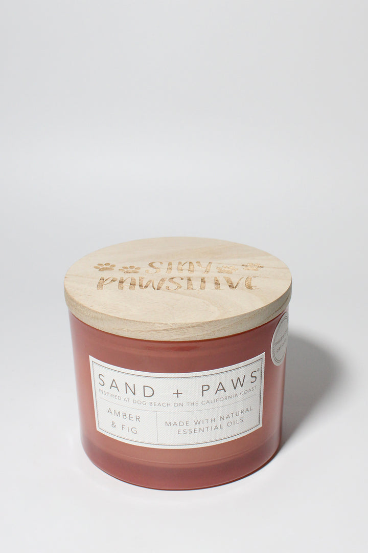 Sand + Paws – Sand + Fog