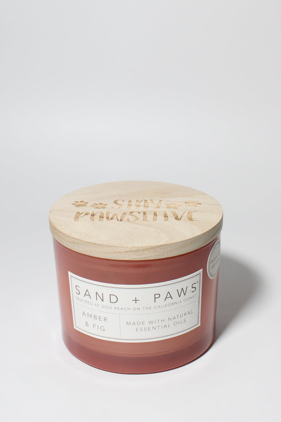 Sand + Paws – Sand + Fog