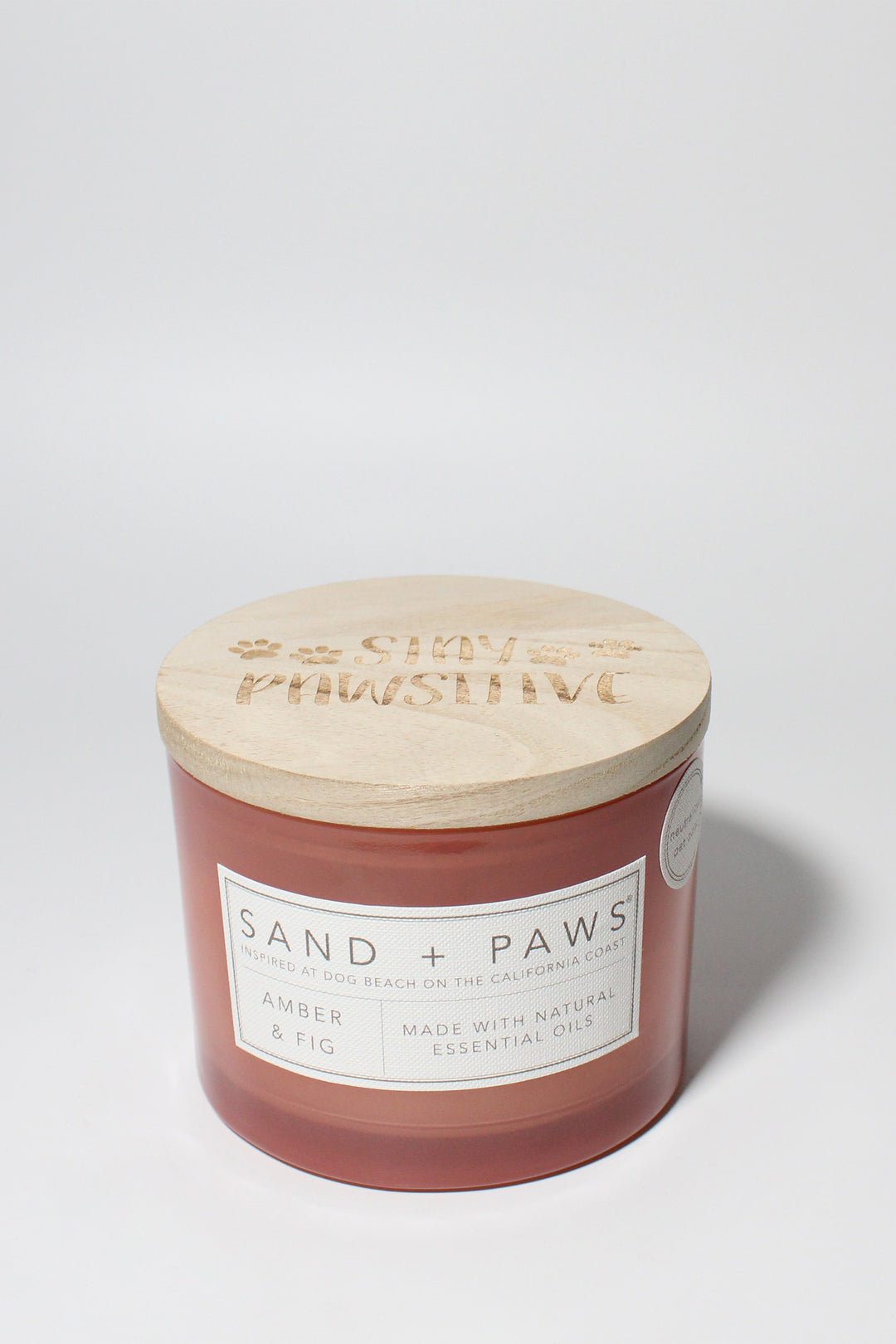 Sand + Paws – Sand + Fog