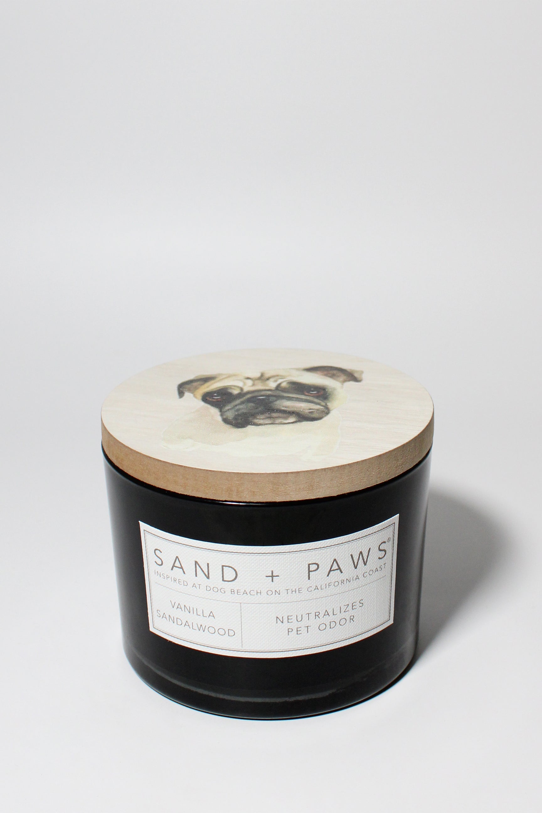 Sand + Paws – Sand + Fog