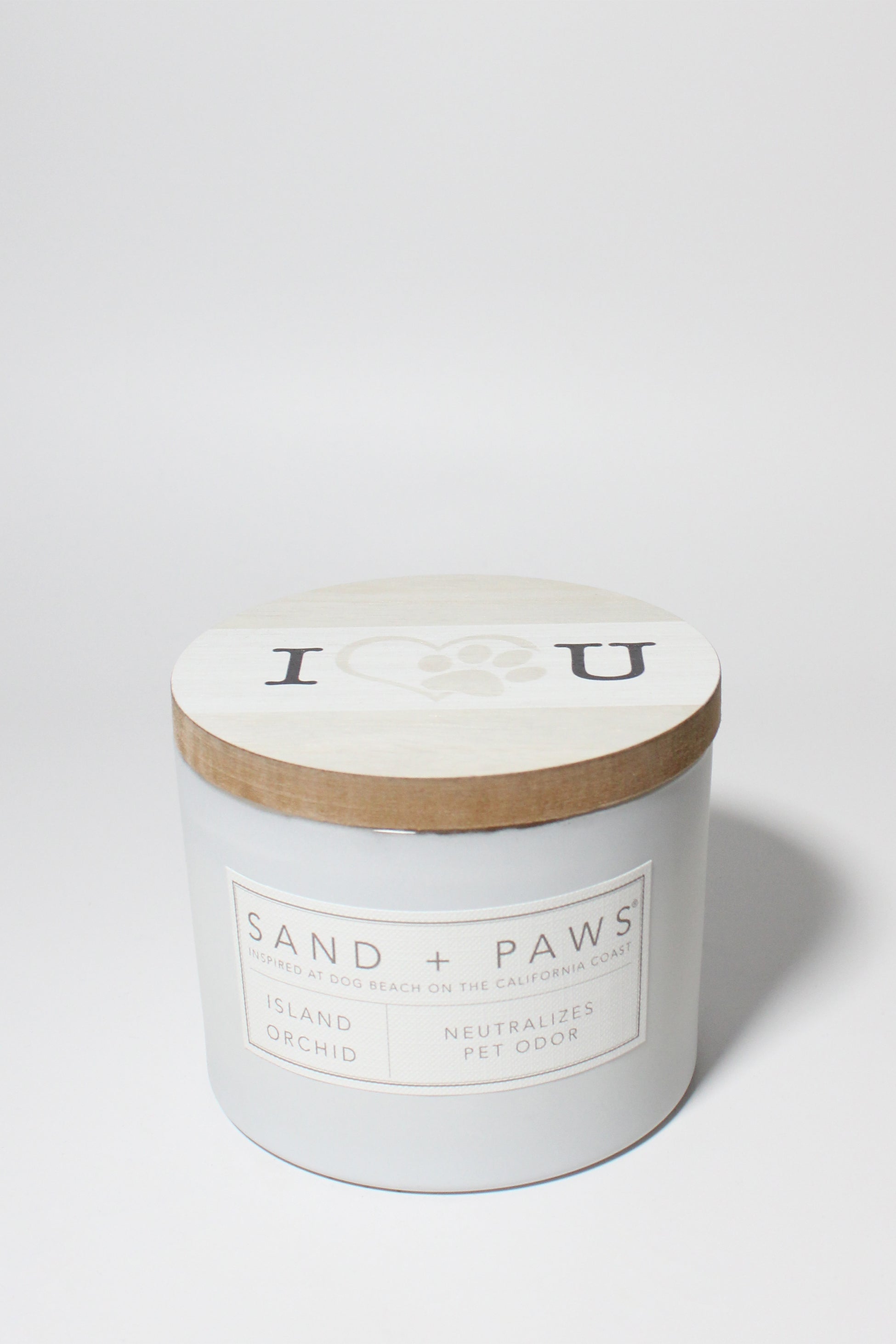 Sand + Paws – Sand + Fog