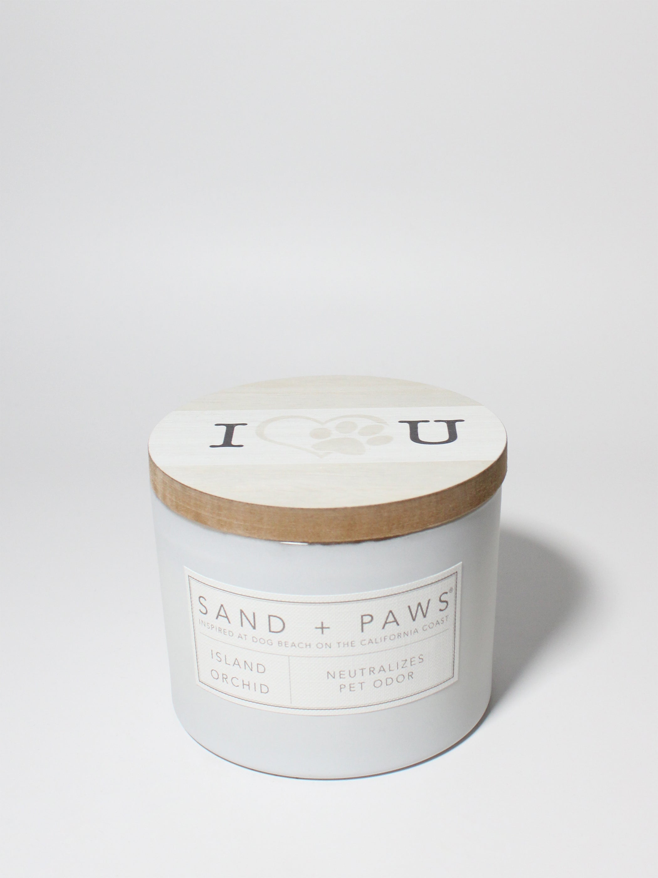 Sand + Paws – Sand + Fog