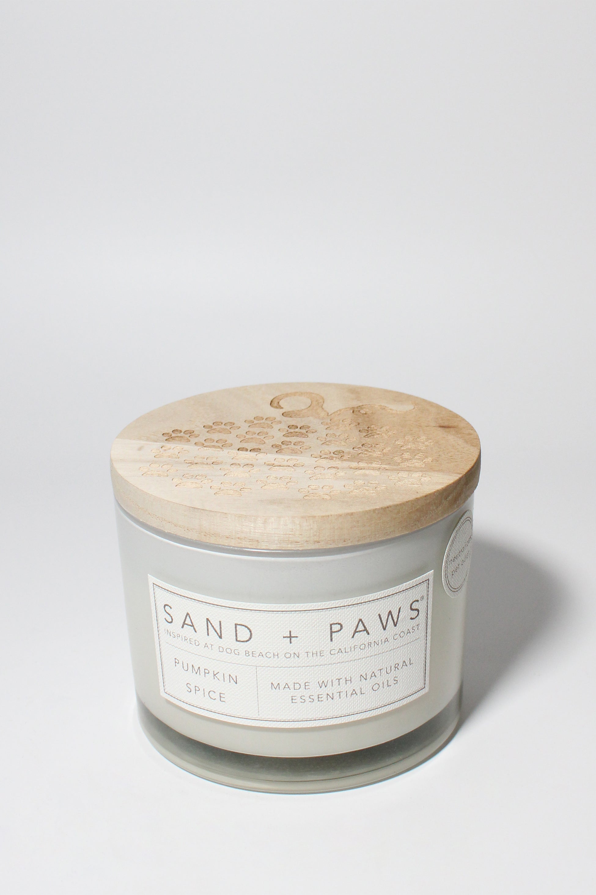 Sand + Paws – Sand + Fog