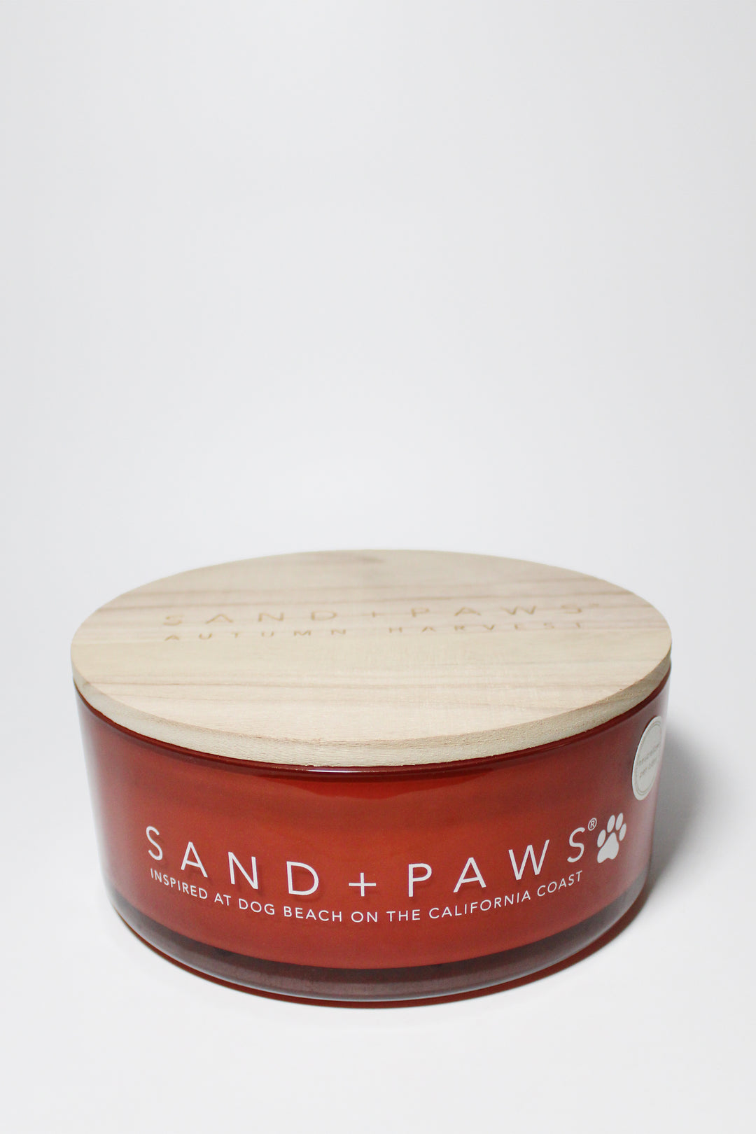 Sand + Paws – Sand + Fog