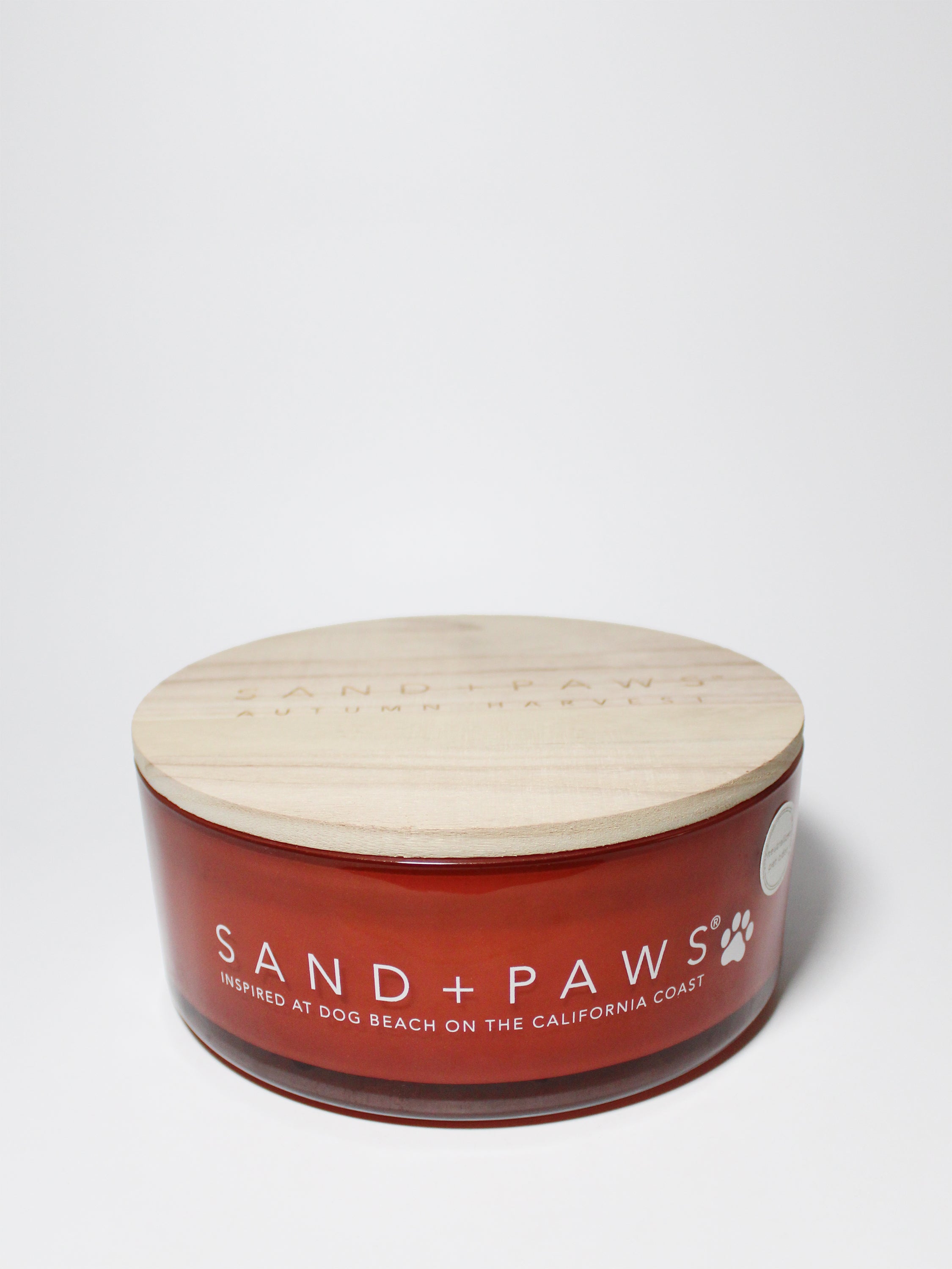Sand + Paws – Sand + Fog
