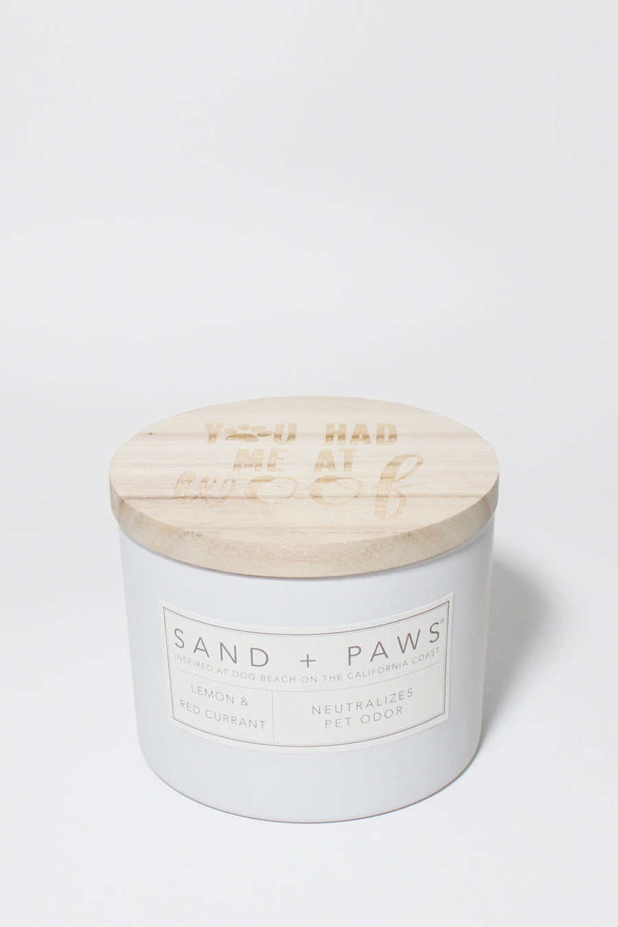 Sand + Paws – Sand + Fog