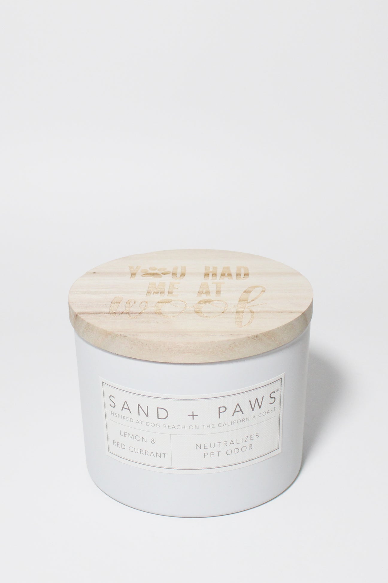 Sand + Paws – Sand + Fog