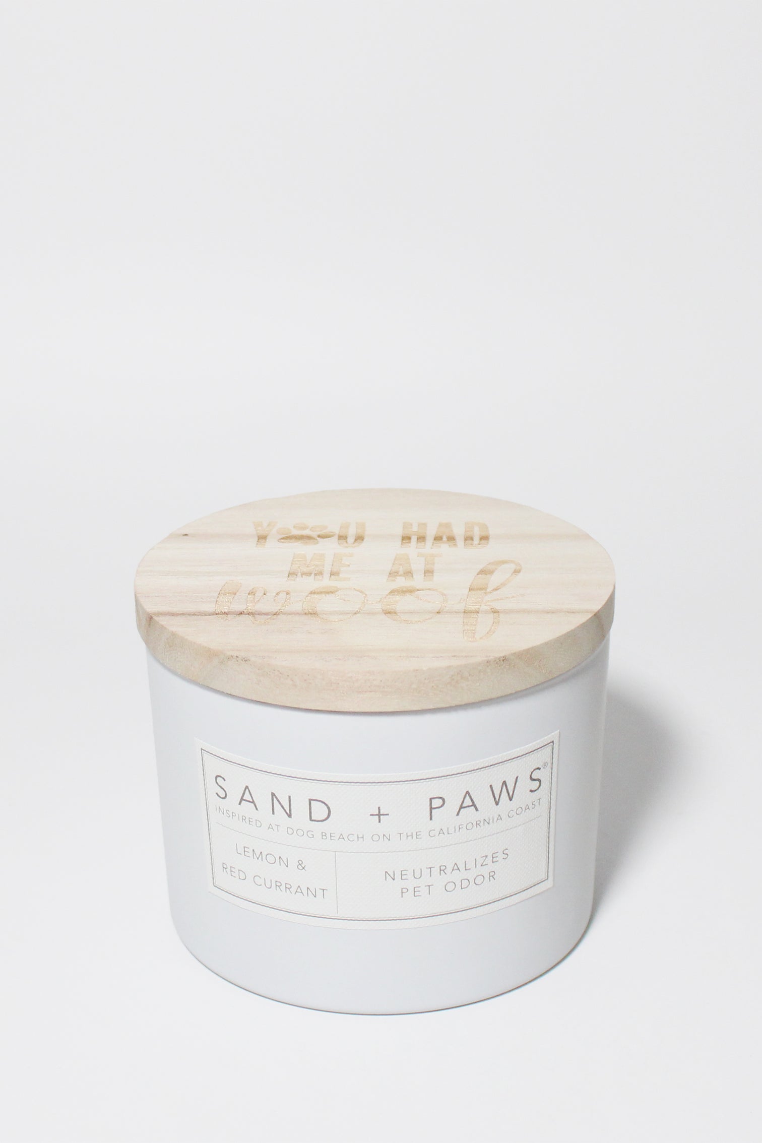 Sand + Paws – Sand + Fog