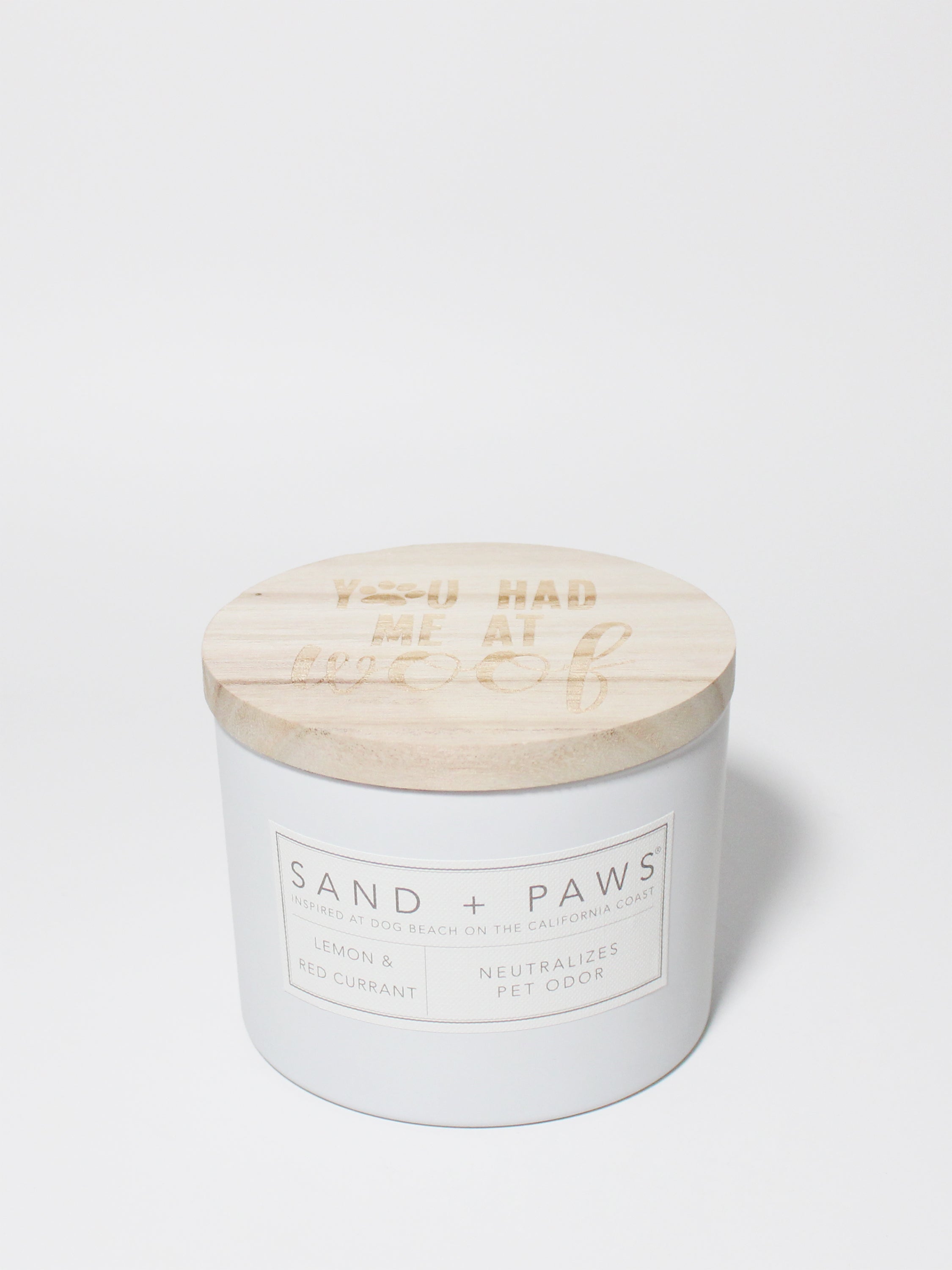 Sand + Paws – Sand + Fog