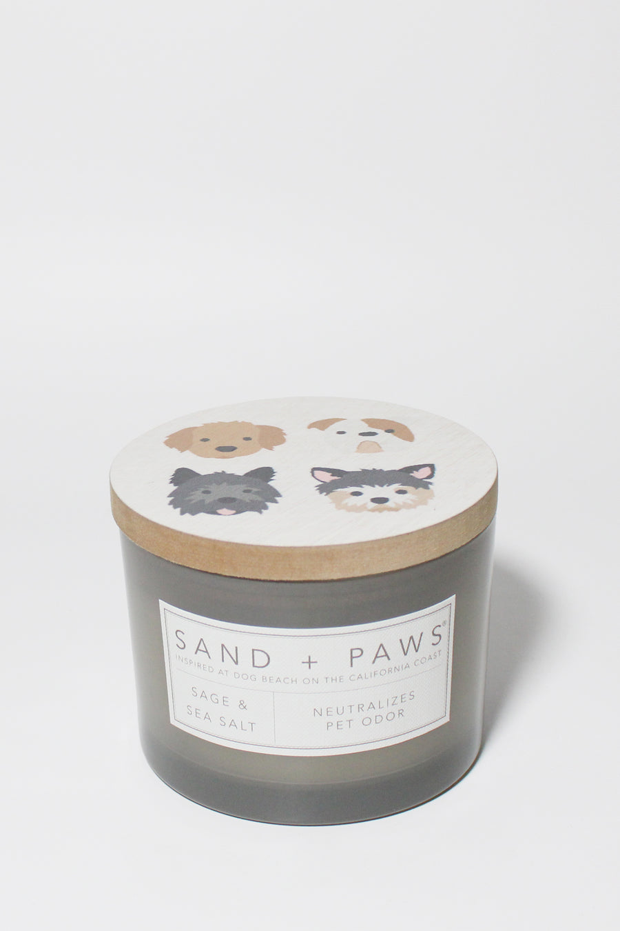 Sand + Paws – Sand + Fog