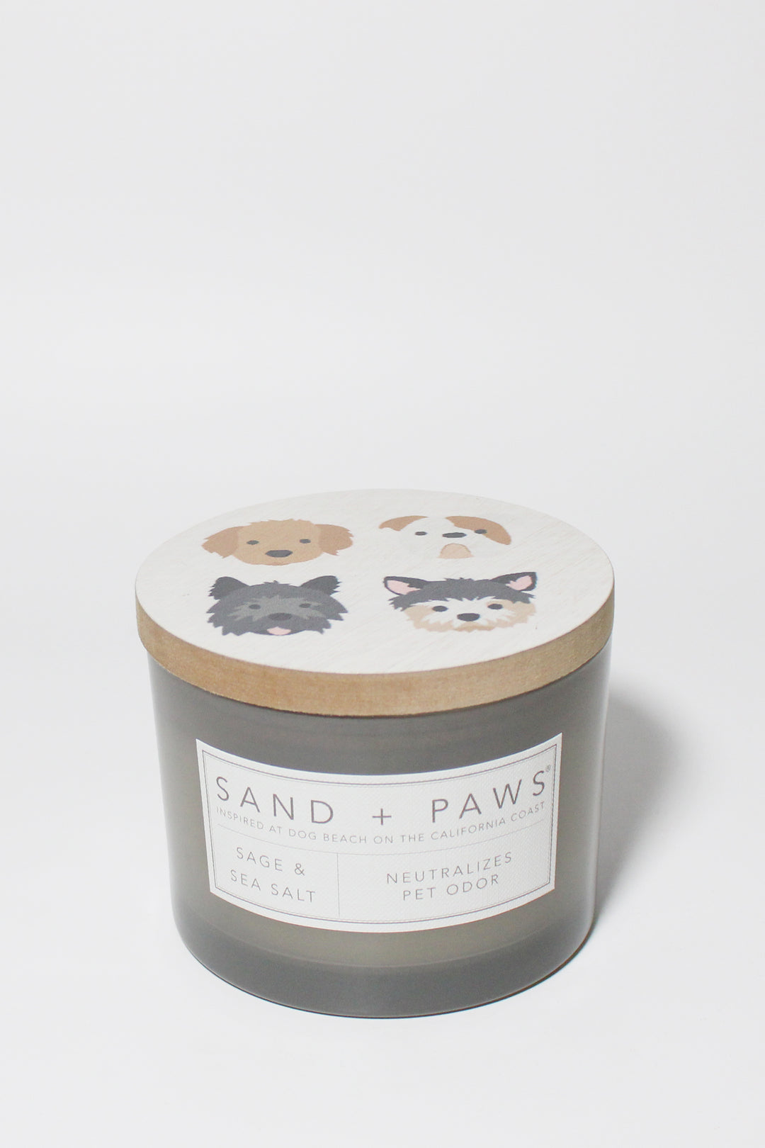 Sand + Paws – Sand + Fog