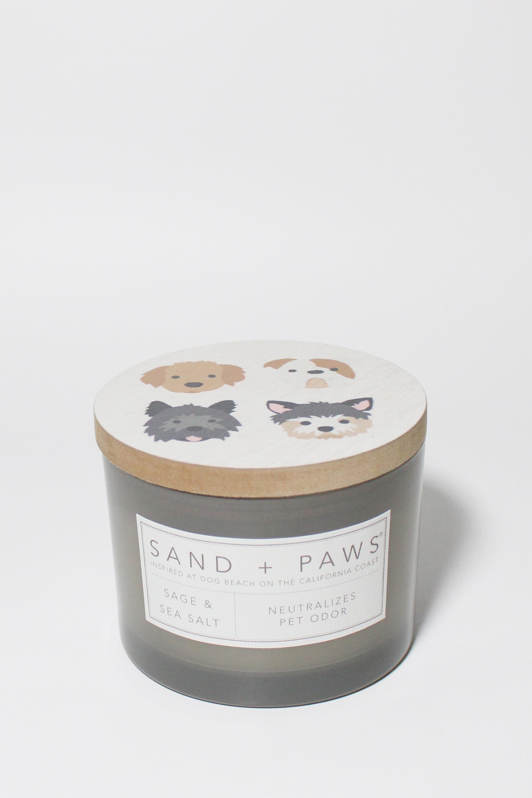 Sand + Paws – Sand + Fog