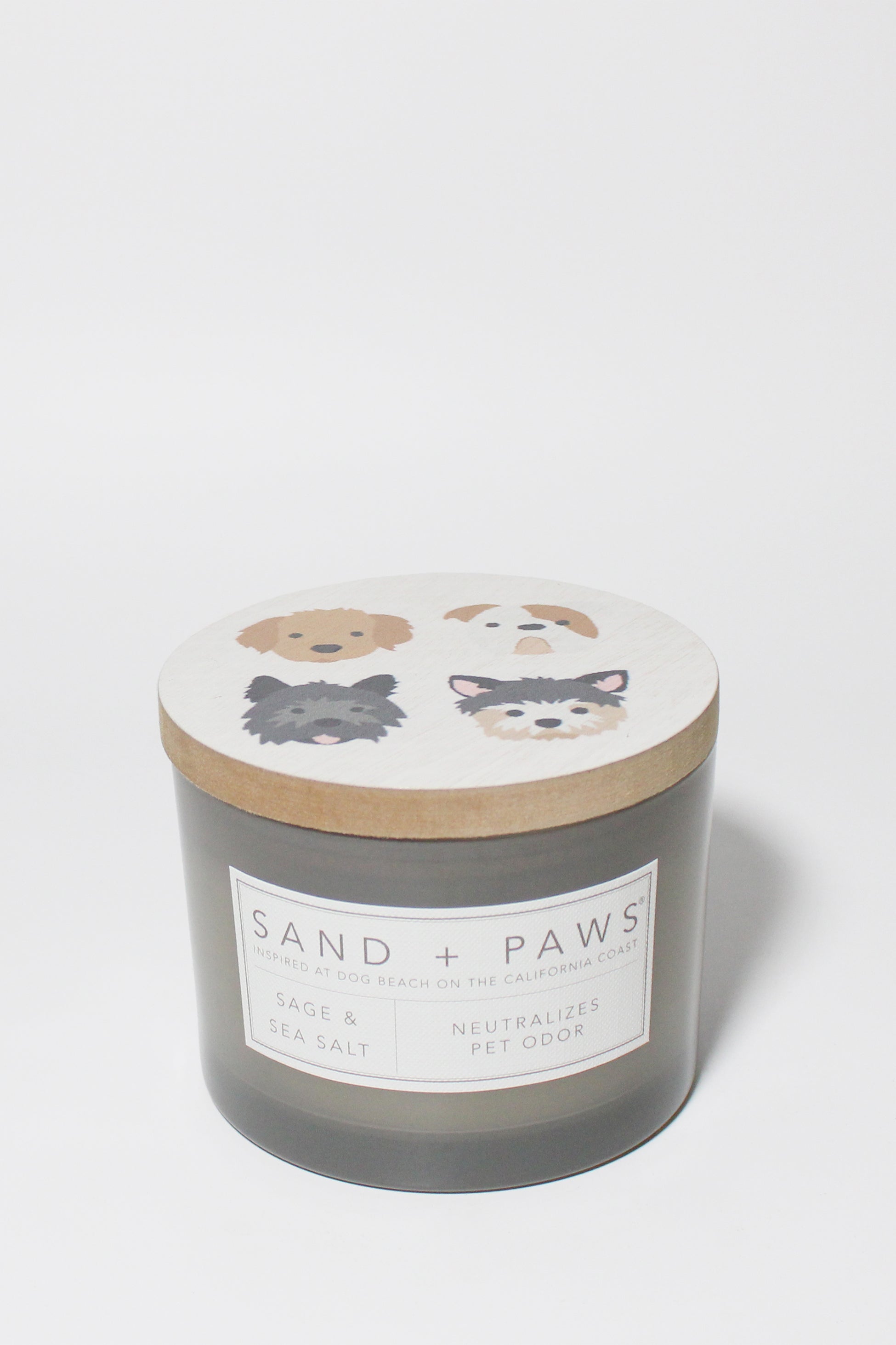 Sand + Paws – Sand + Fog