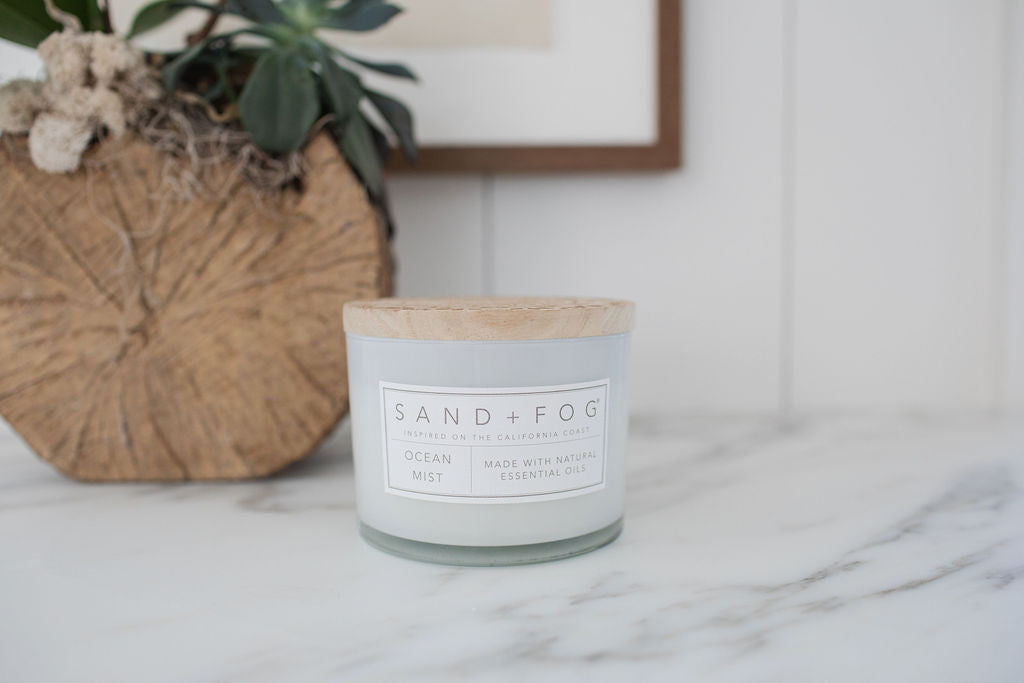 Sand + Paws – Sand + Fog