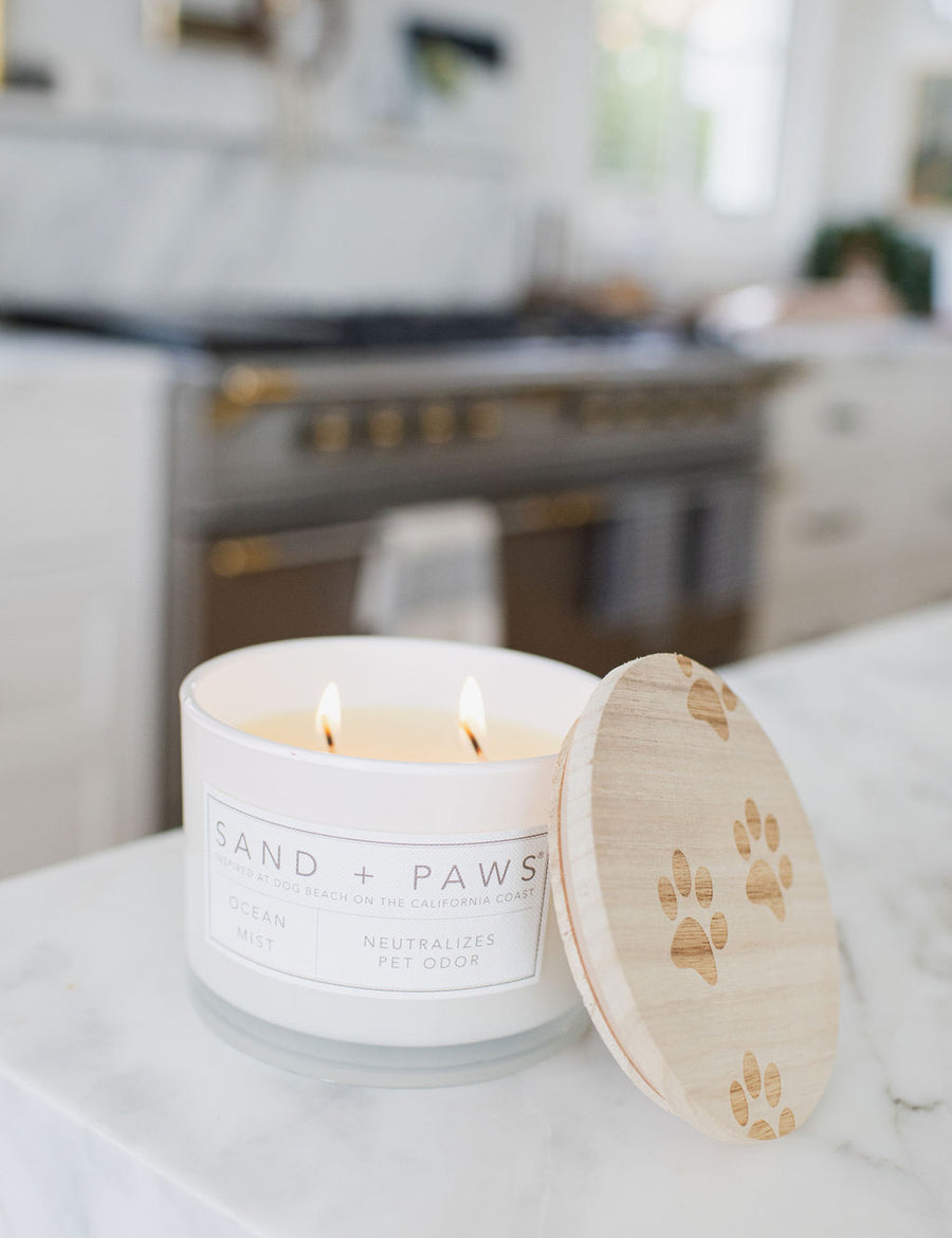 Sand + Paws – Sand + Fog