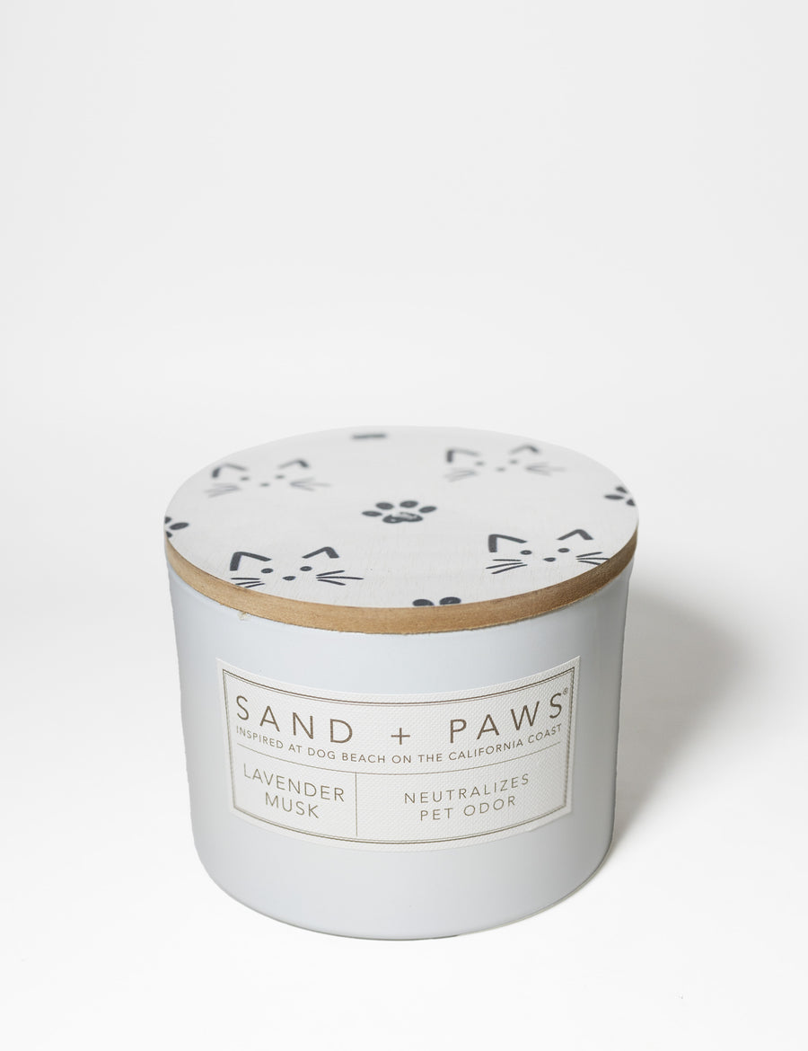 Sand + Paws – Sand + Fog