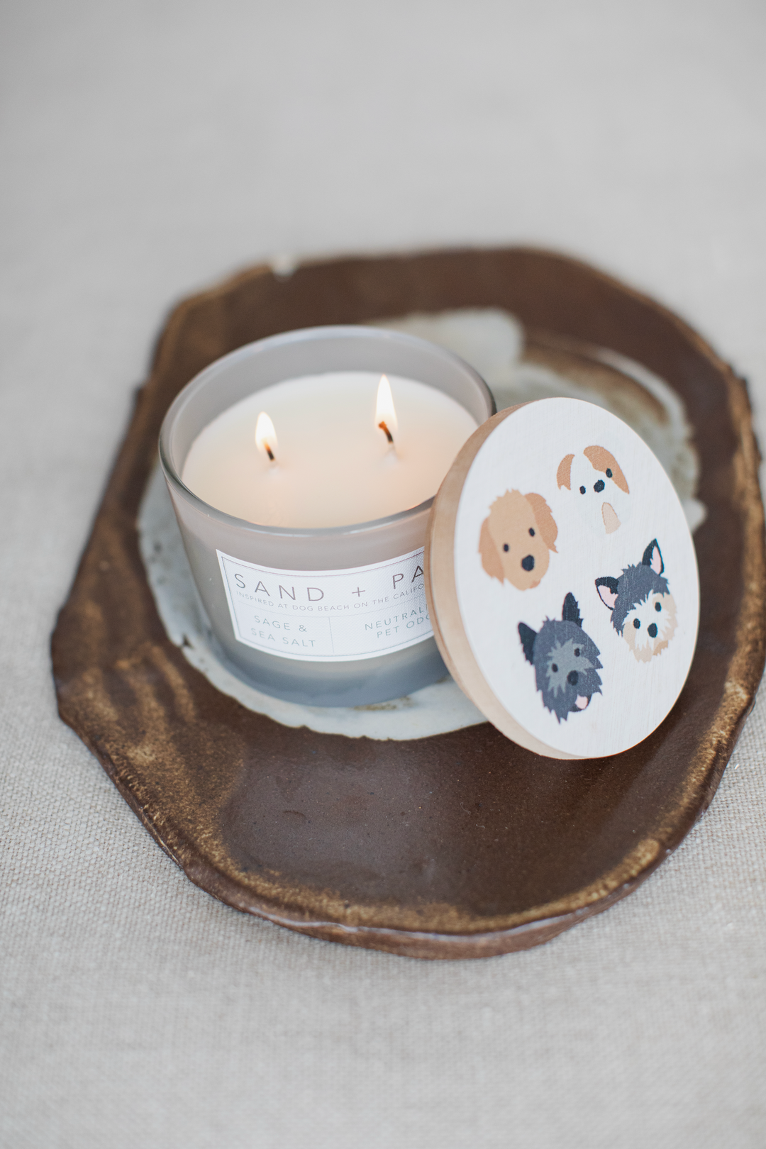 Sand + Paws – Sand + Fog